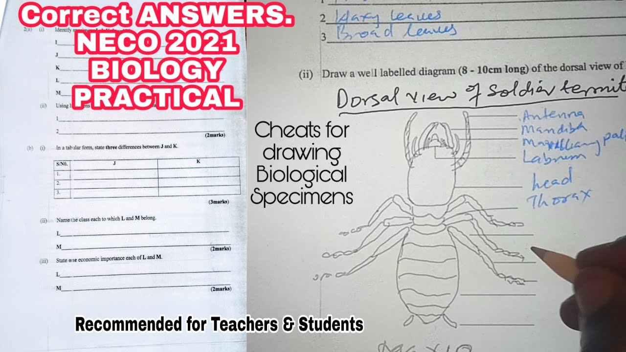 2021 NECO BIOLOGY PRACTICAL QUESTIONS2021 NECO BIOLOGY
